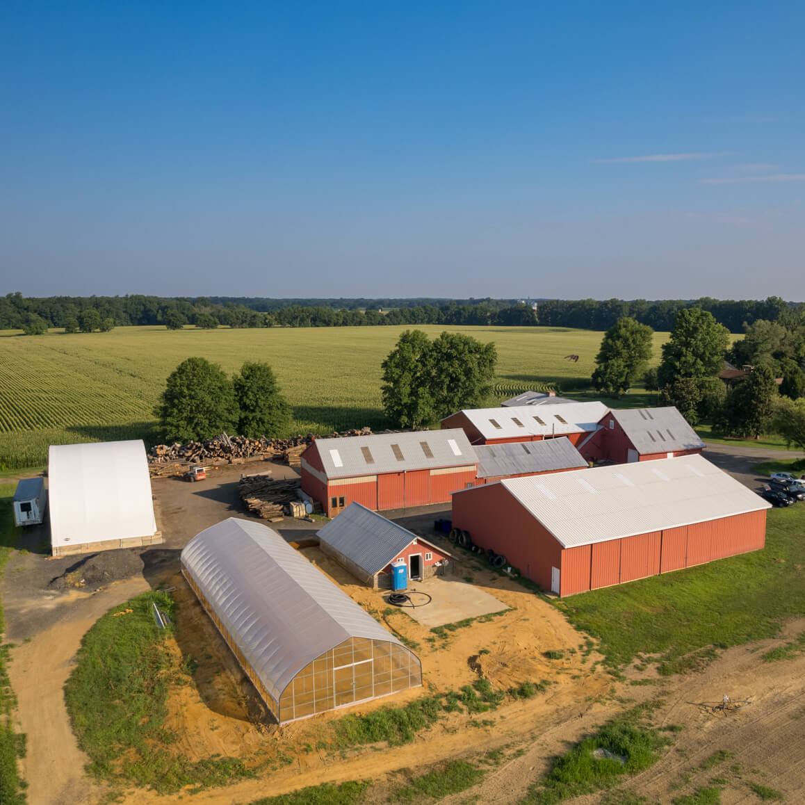 Green Giant Trees | The Region's Largest Supplier of Green Giant Arborvitae
