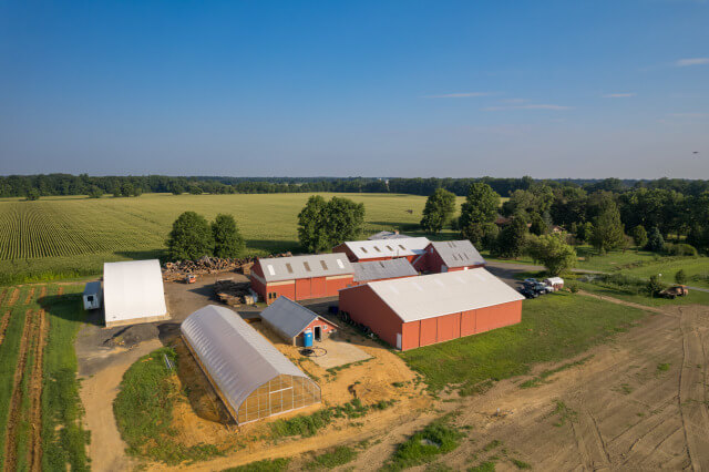 Green Giant Product Information | Rolling Fields Tree Farm