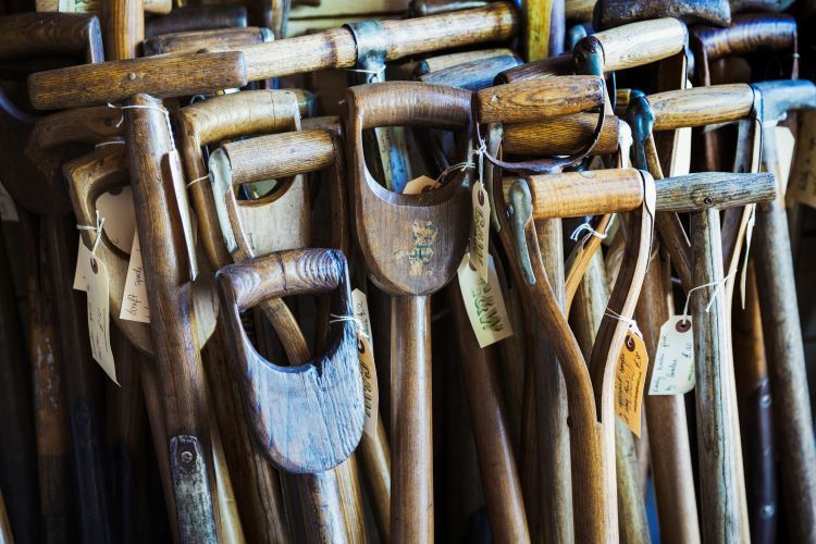 Sustainable Gardening: Cultivating Green Space Responsibly